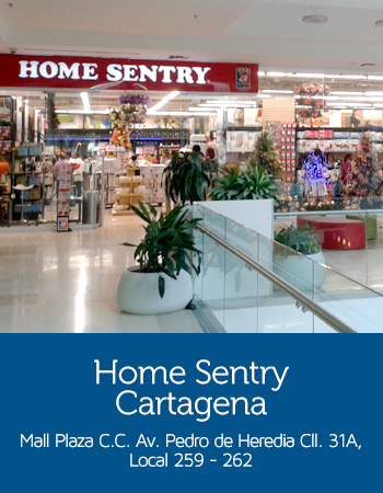 Ofertas de empleo y trabajo en HOME SENTRY - Base empresarial