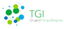 Trabajo como Profesional junior en TGI S.A. E.S.P.