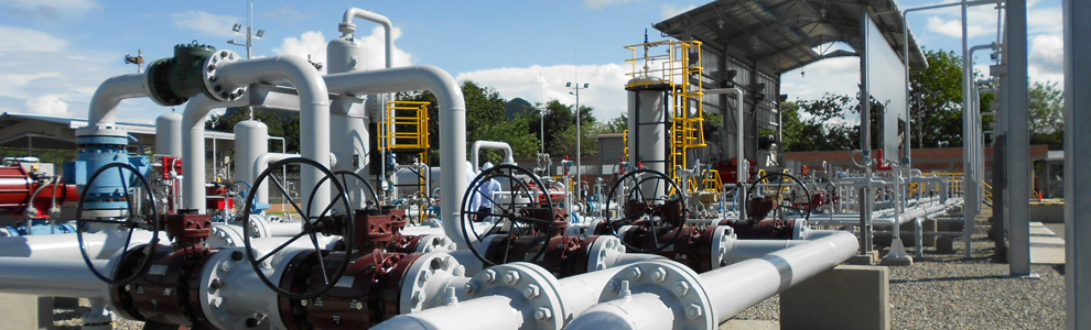 TRANSPORTADORA DE GAS INTERNACIONAL -TGI: Ofertas de Empleo y Trabajo ...